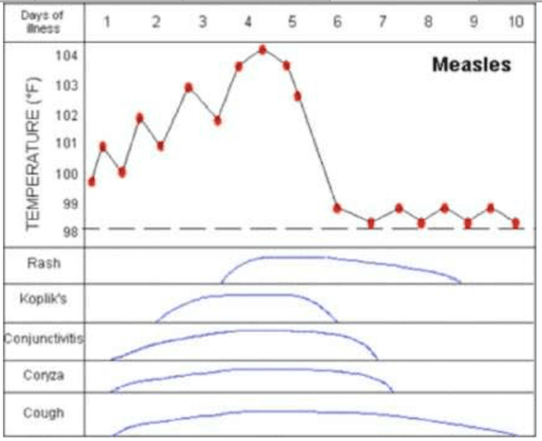 Fever, Rash and a Vuvuzela • LITFL • Tropical Travel Clinical Case