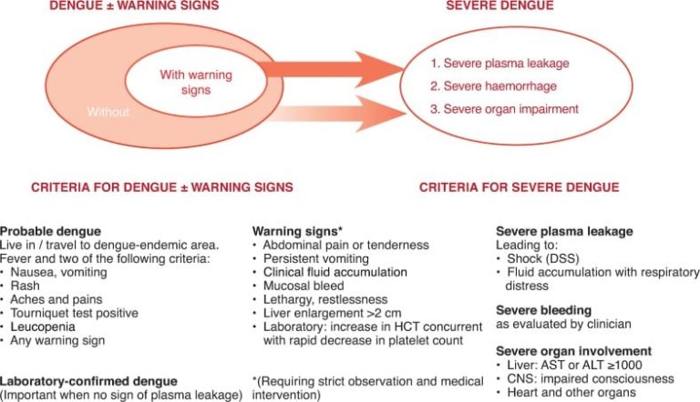 Fever, Arthralgia and Rash • LITFL • Tropical Traveler Clinical Case