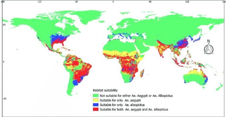 Fever, Arthralgia and Rash • LITFL • Tropical Traveler Clinical Case