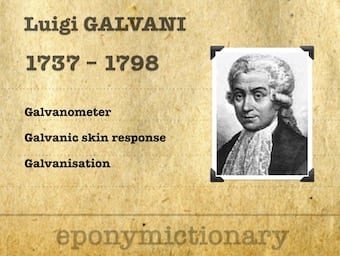 animal electricity Archives • LITFL