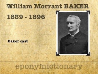 Erysipelothrix rhusiopathiae Archives • LITFL