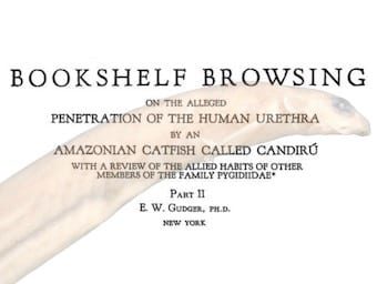 Toothpick fish Archives • LITFL