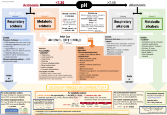 Blood Gas Interpretation • LITFL • CCC Investigations