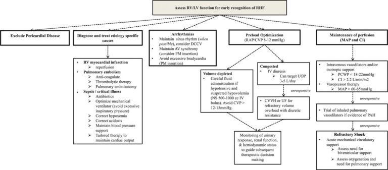 Right Ventricular Failure • LITFL • CCC Cardiology