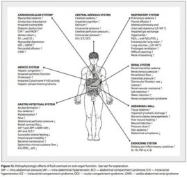 Deresuscitation and Positive Fluid Balance • LITFL • CCC Deresuscitation