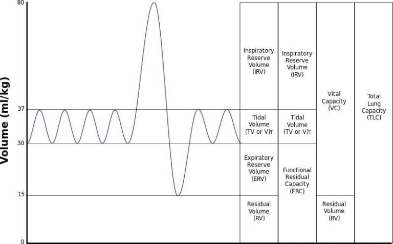 Spirometry • LITFL• CCC