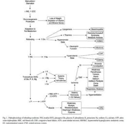 Refeeding Syndrome • LITFL • CCC Nutrition
