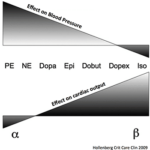 Inotropes, vasopressors and other vasoactive agents • LITFL • CCC