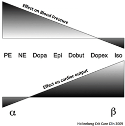 Inotropes, vasopressors and other vasoactive agents • LITFL • CCC