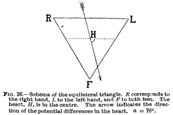 History of the Electrocardiogram • LITFL • Medical Eponym Library