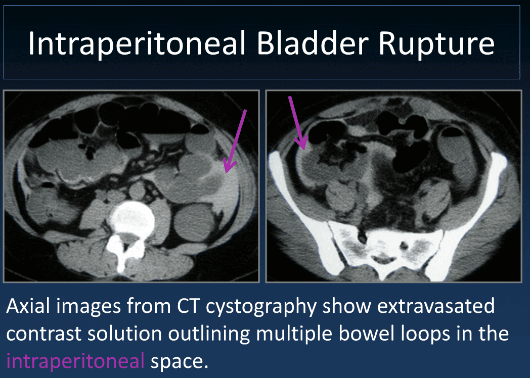 Funtabulously Frivolous Friday Five 271 • LITFL