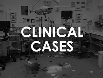 Procedure Archives • LITFL