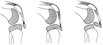 Funtabulously Frivolous Friday Five 272 • LITFL