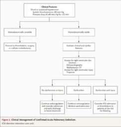 Pulmonary Embolism • LITFL • CCC Respiratory
