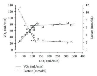 Oxygen Extraction Ratio • LITFL • CCC Respiratory