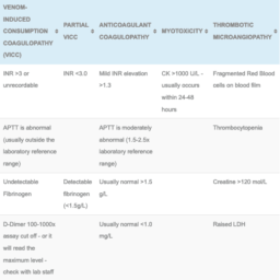 Brown Snake • LITFL • Toxinology Library