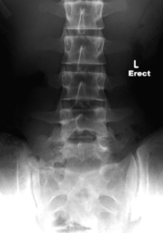 Funtabulously Frivolous Friday Five 206 • LITFL • FFFF