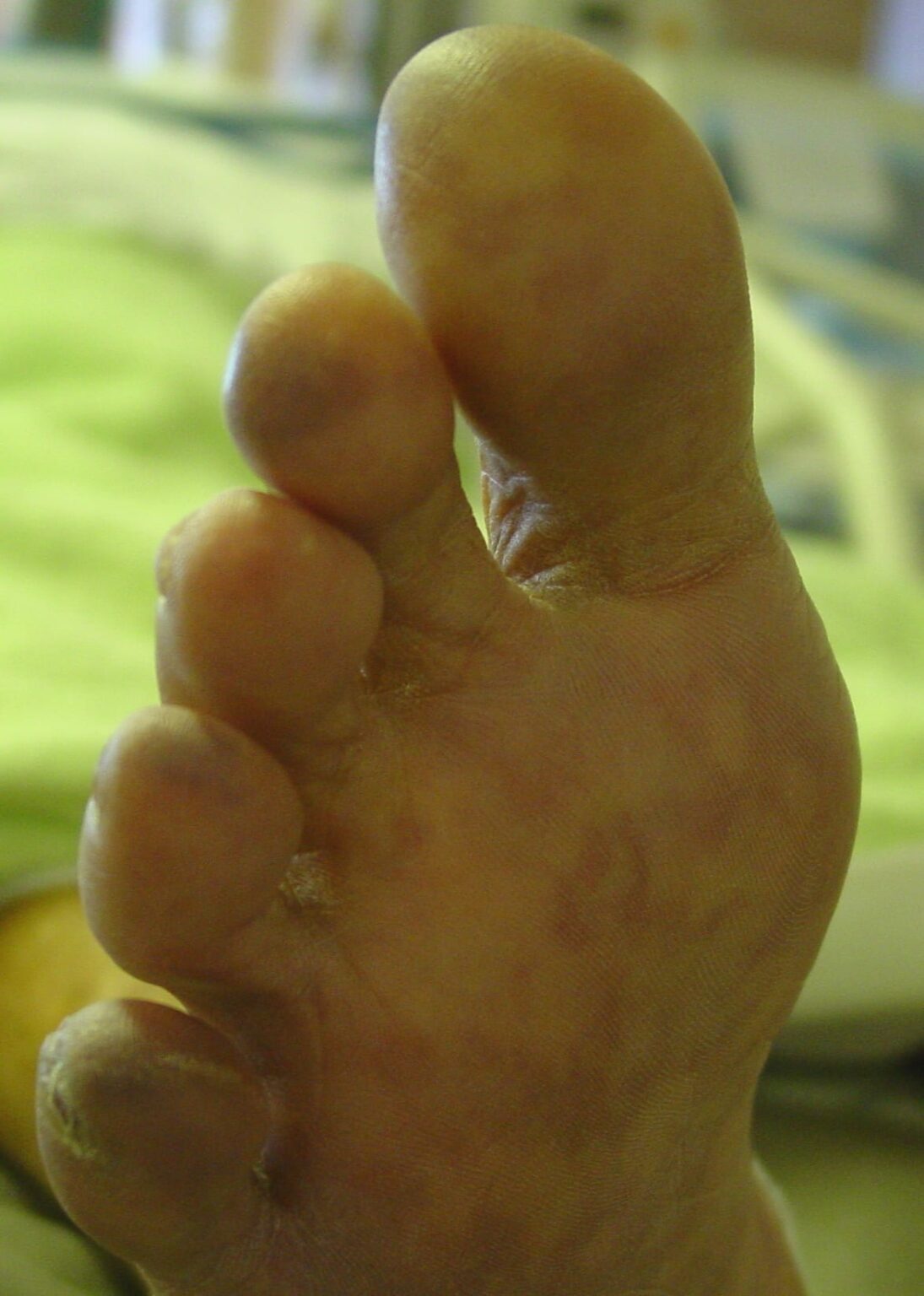 Funtabulously Frivolous Friday Five 293 • LITFL