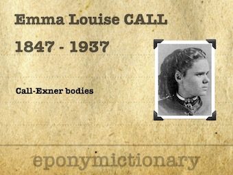 Call-Exner bodies Archives • LITFL