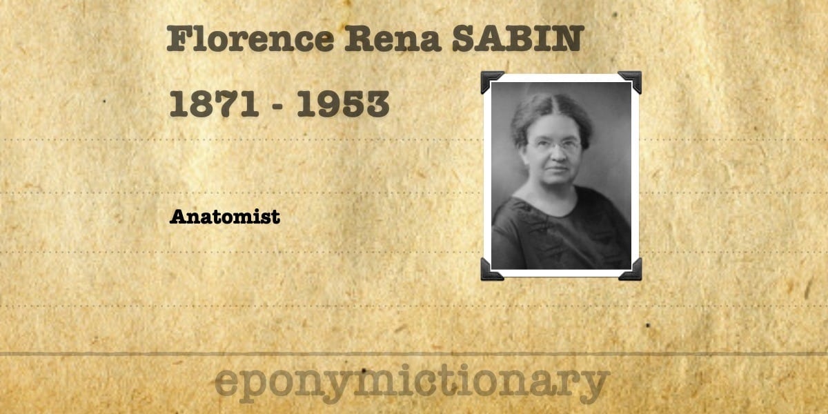 Florence R. Sabin • LITFL • Medical Eponym Library