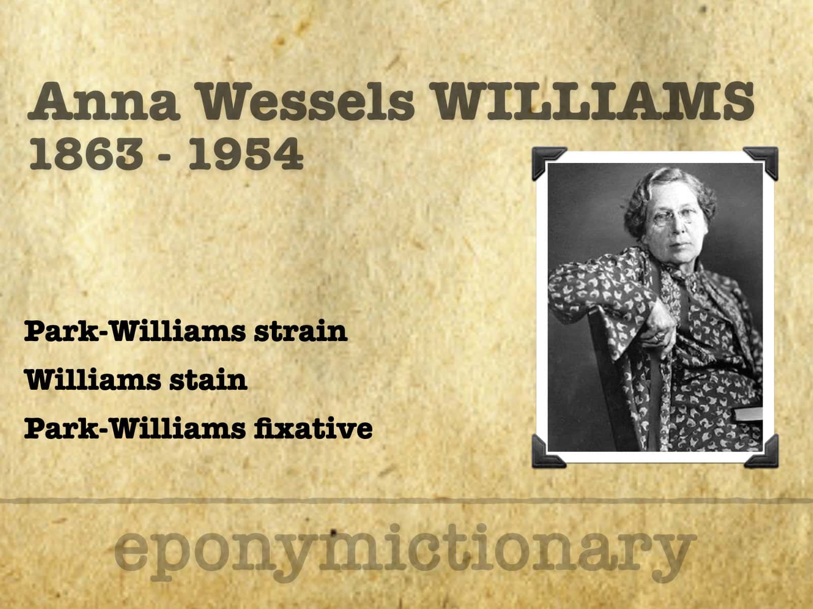 Anna Williams Archives • LITFL