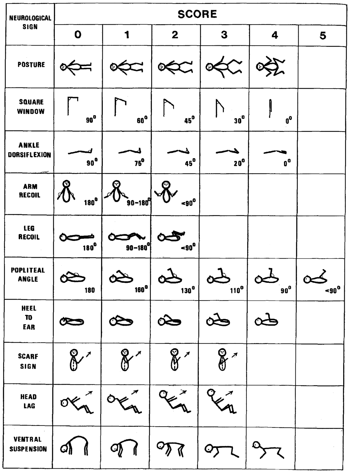 Lilly Dubowitz • LITFL • Medical Eponym Library