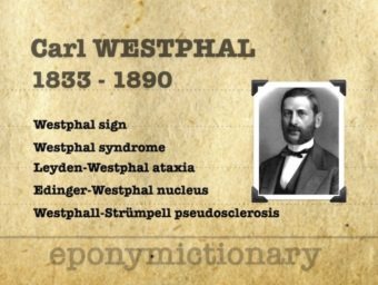 Edinger–Westphal nucleus Archives • LITFL