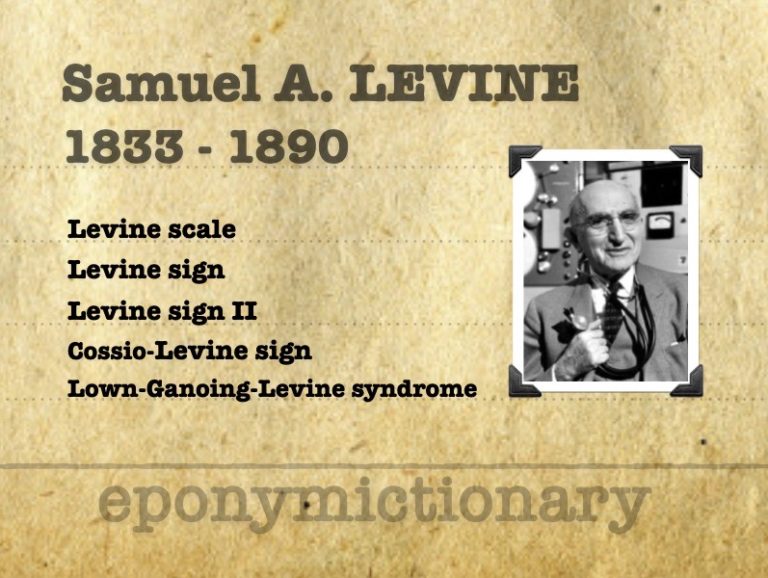 Levine Scale Archives • LITFL