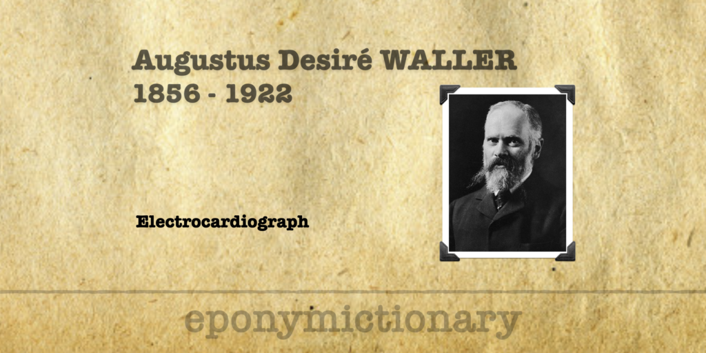 Augustus Desiré Waller • LITFL • Medical Eponym Library