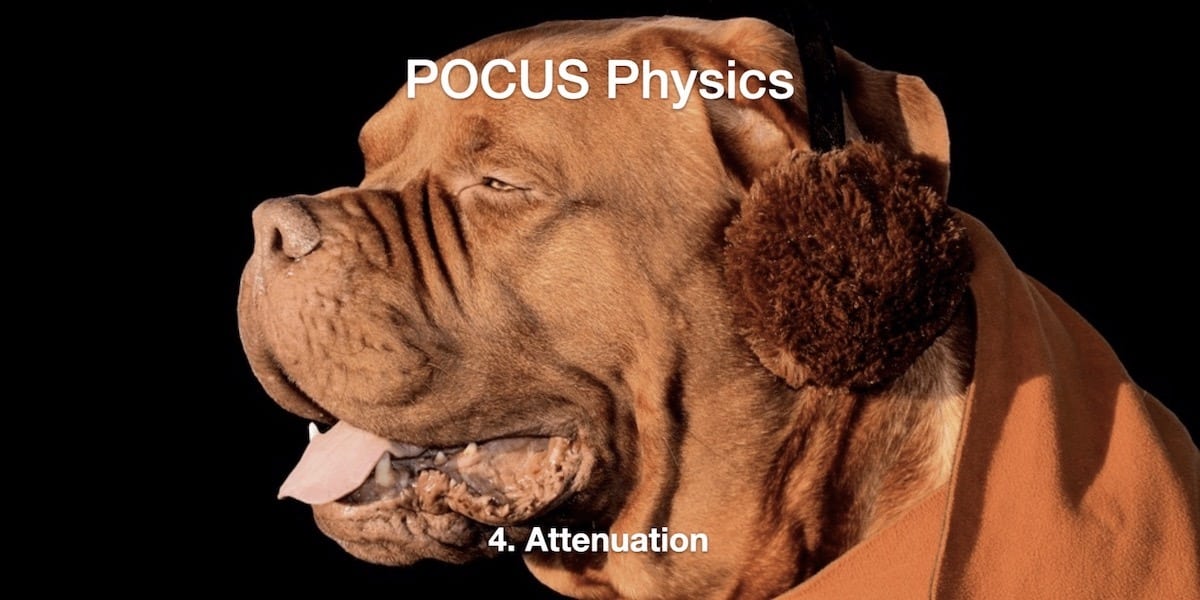POCUS Physics 4 • LITFL • Ultrasound basics