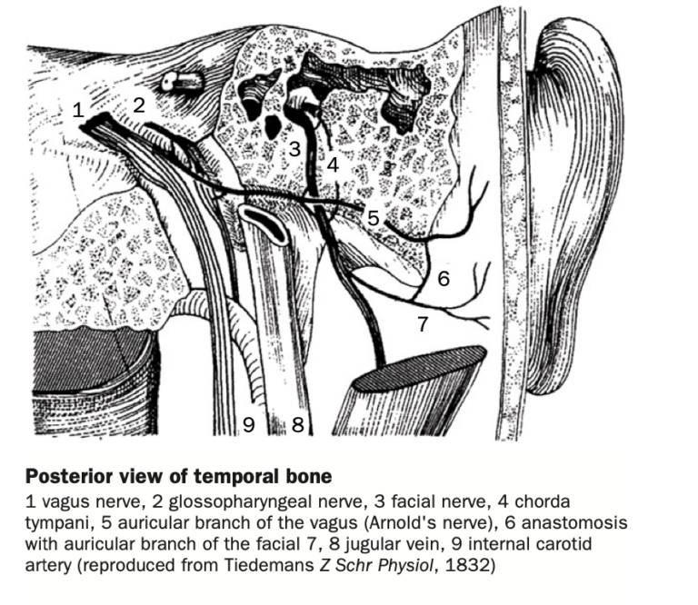 Funtabulously Frivolous Friday Five 338 • LITFL