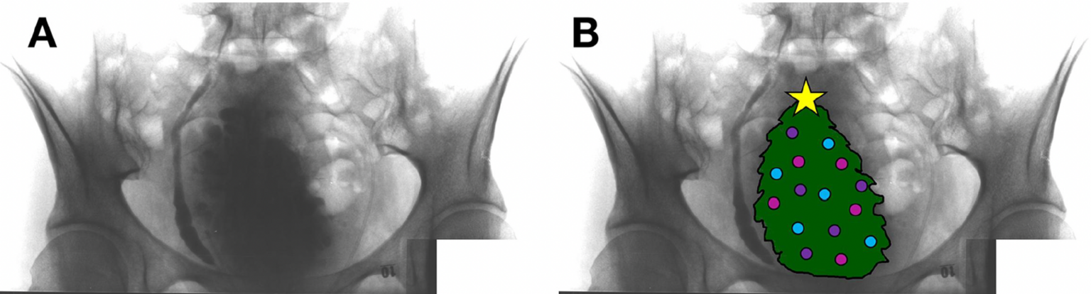 Merry Funtabulously Frivolous Friday Five 343 • LITFL