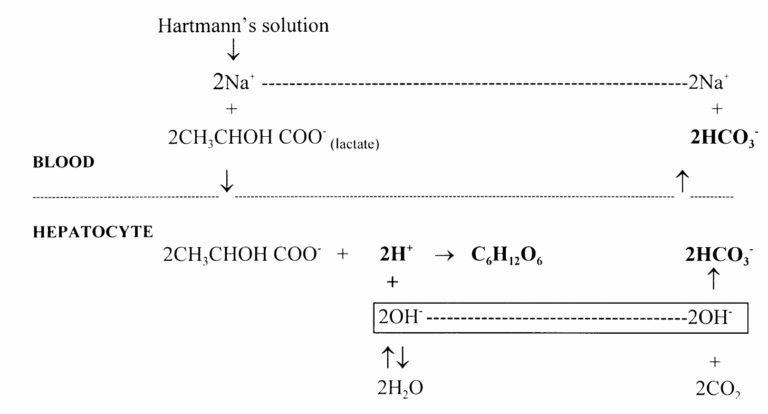 Hartmann's Solution • LITFL • CCC