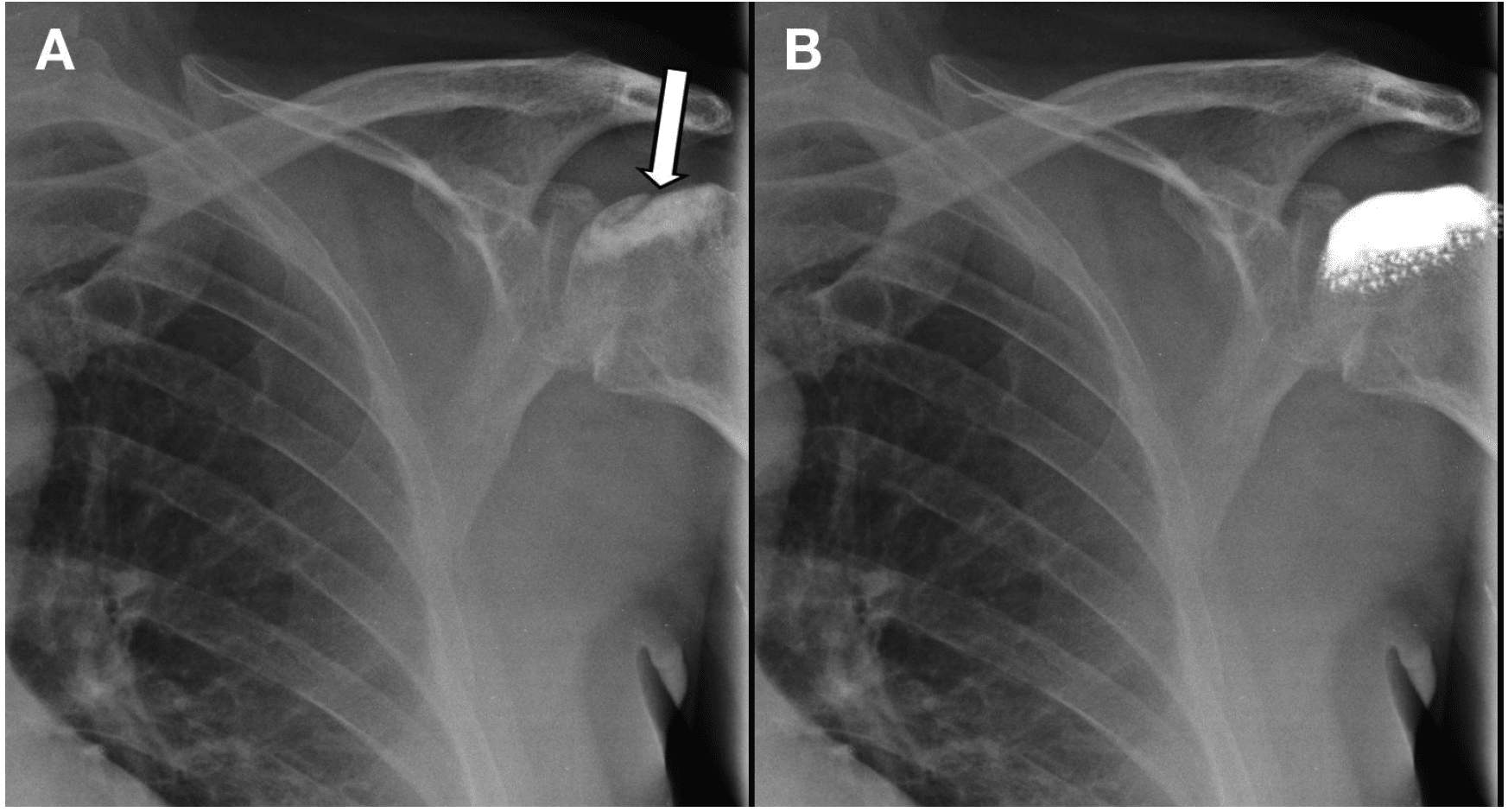 Merry Funtabulously Frivolous Friday Five 343 • LITFL