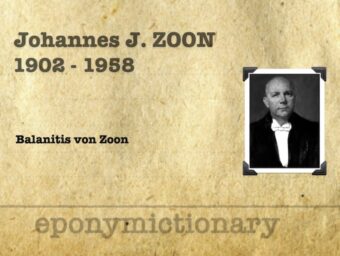 Johannes Zoon Archives • LITFL