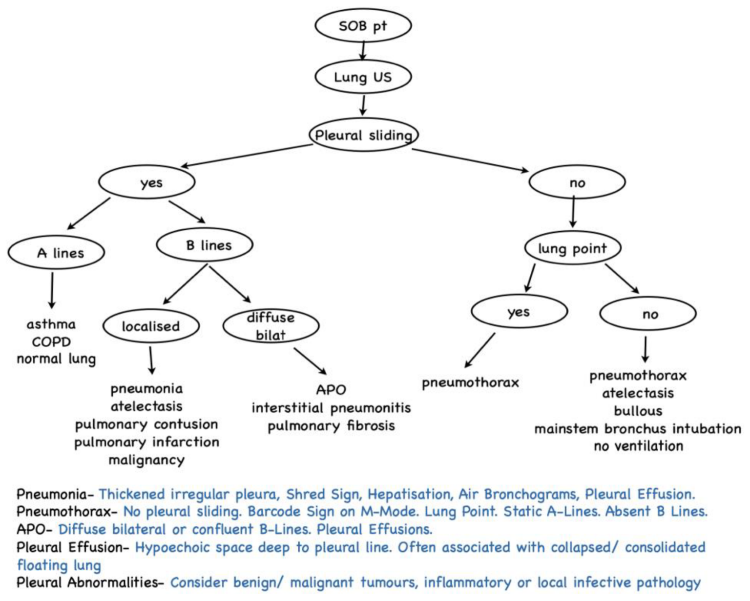 POCUS Made Easy: Lung • LITFL • Ultrasound Library