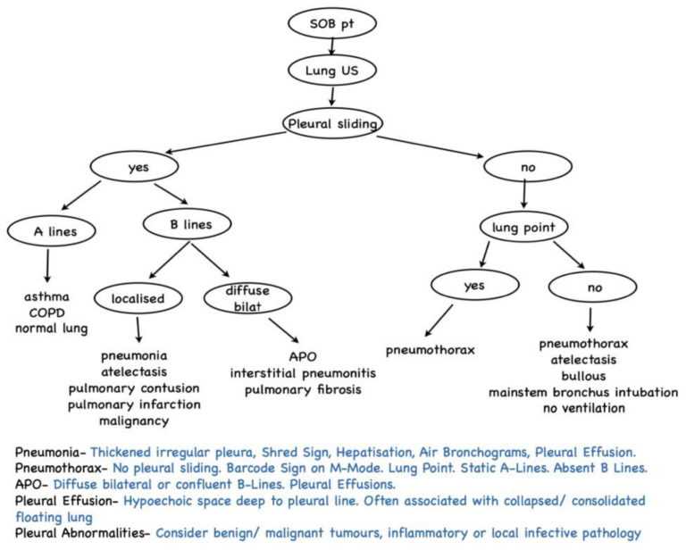 POCUS Made Easy: Lung • LITFL • Ultrasound Library