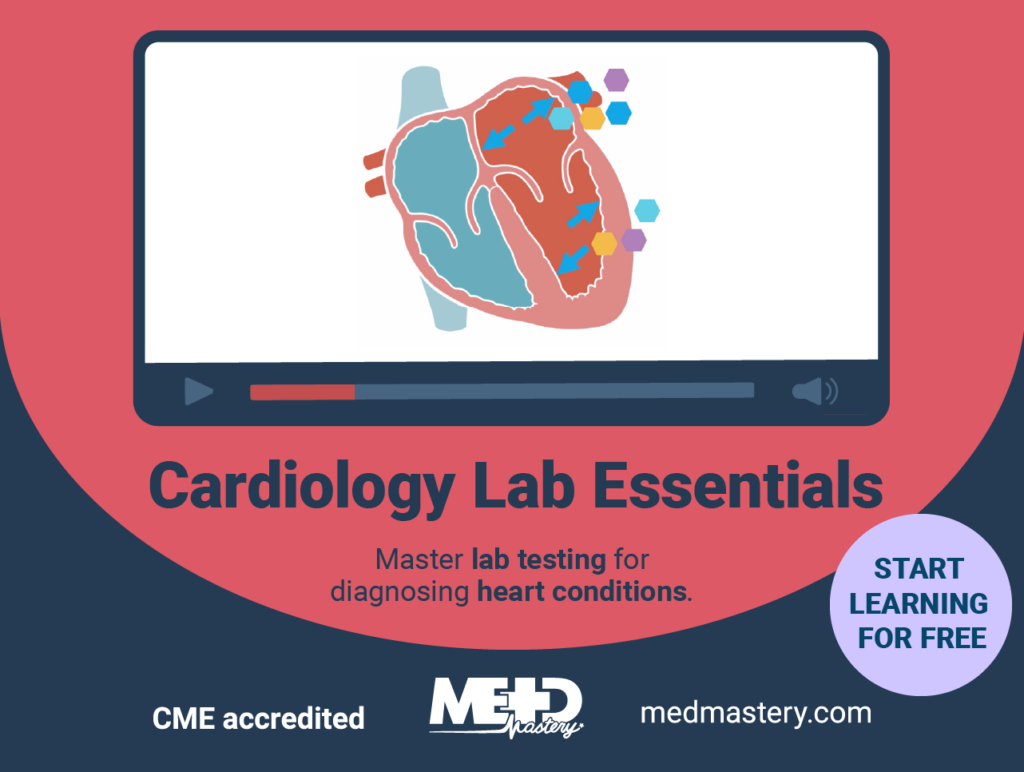 Spinal cord infarction • LITFL • CCC Neurology