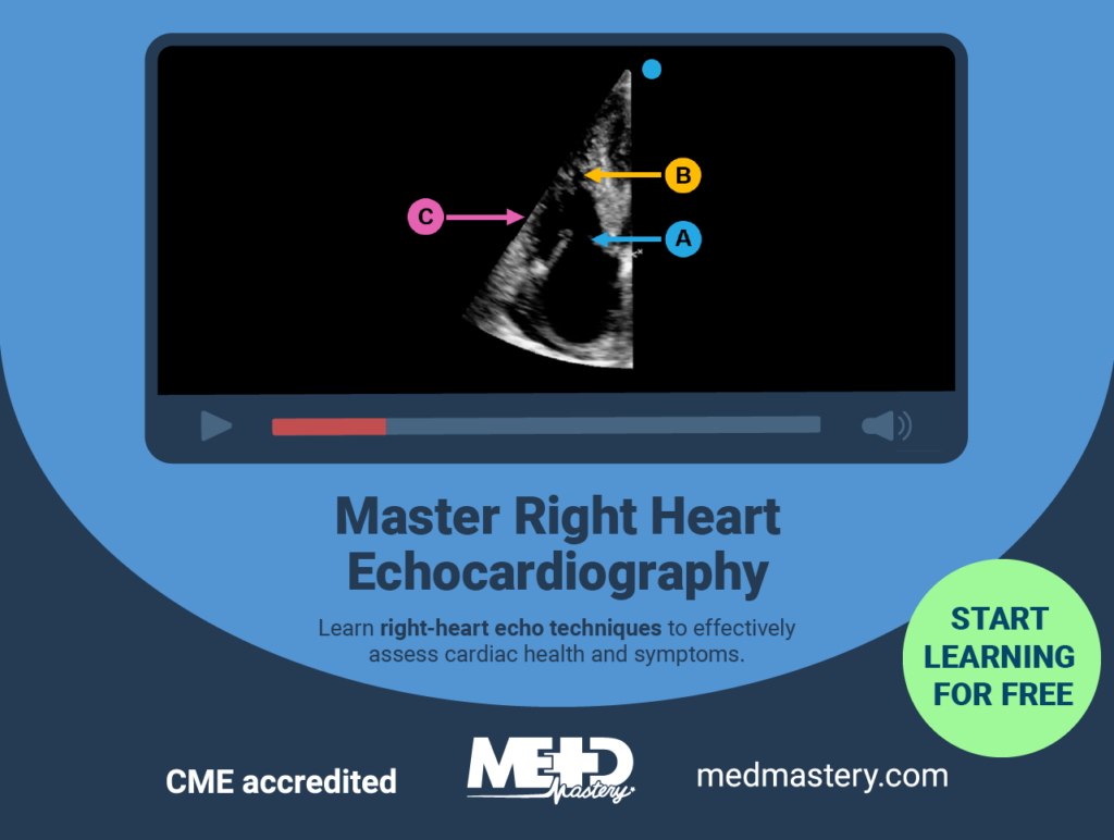 TEE Essentials: Overview of TEE views • LITFL • Medmastery Podcast