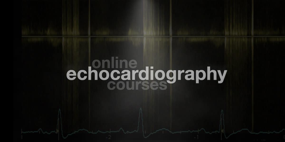 The Best Online Echocardiography Courses • LITFL