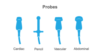 Echo basics: Machines and Probes • LITFL • Radiology Library