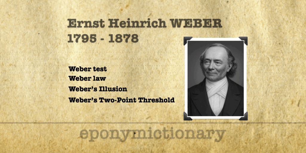 Ernst Weber • LITFL • Medical Eponym Library