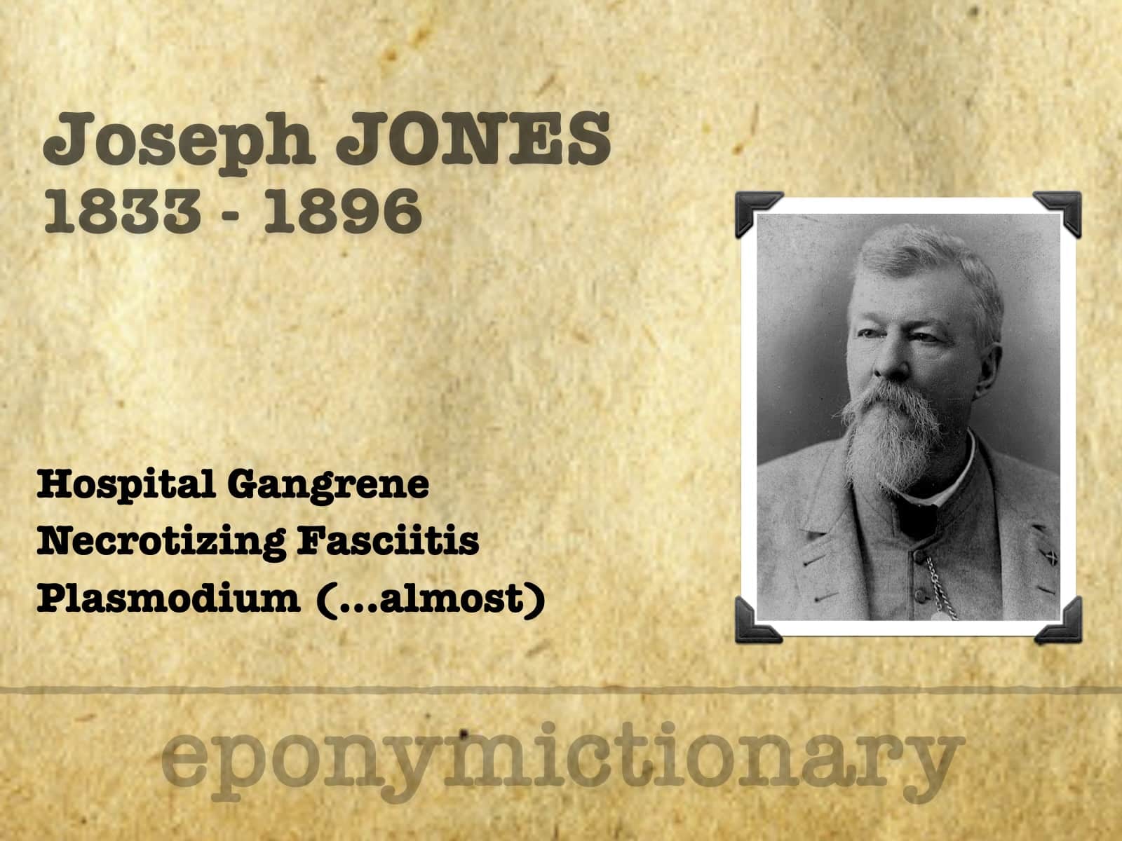 Preston Jones Md