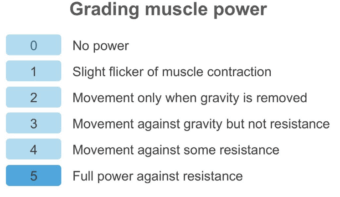 Neuro 101: Neurological Examination • LITFL • Neurology library