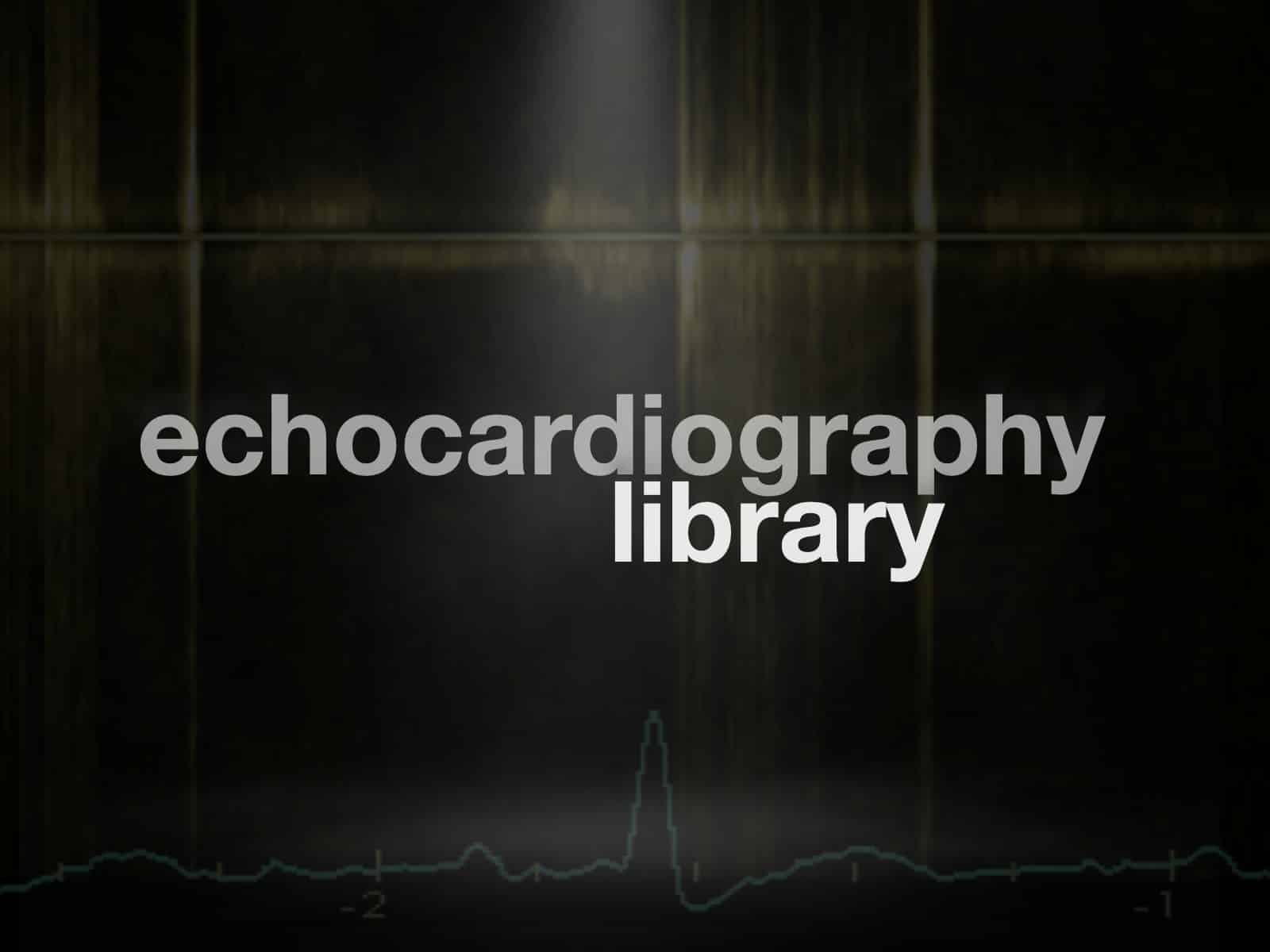 echocardiography probes Archives • LITFL