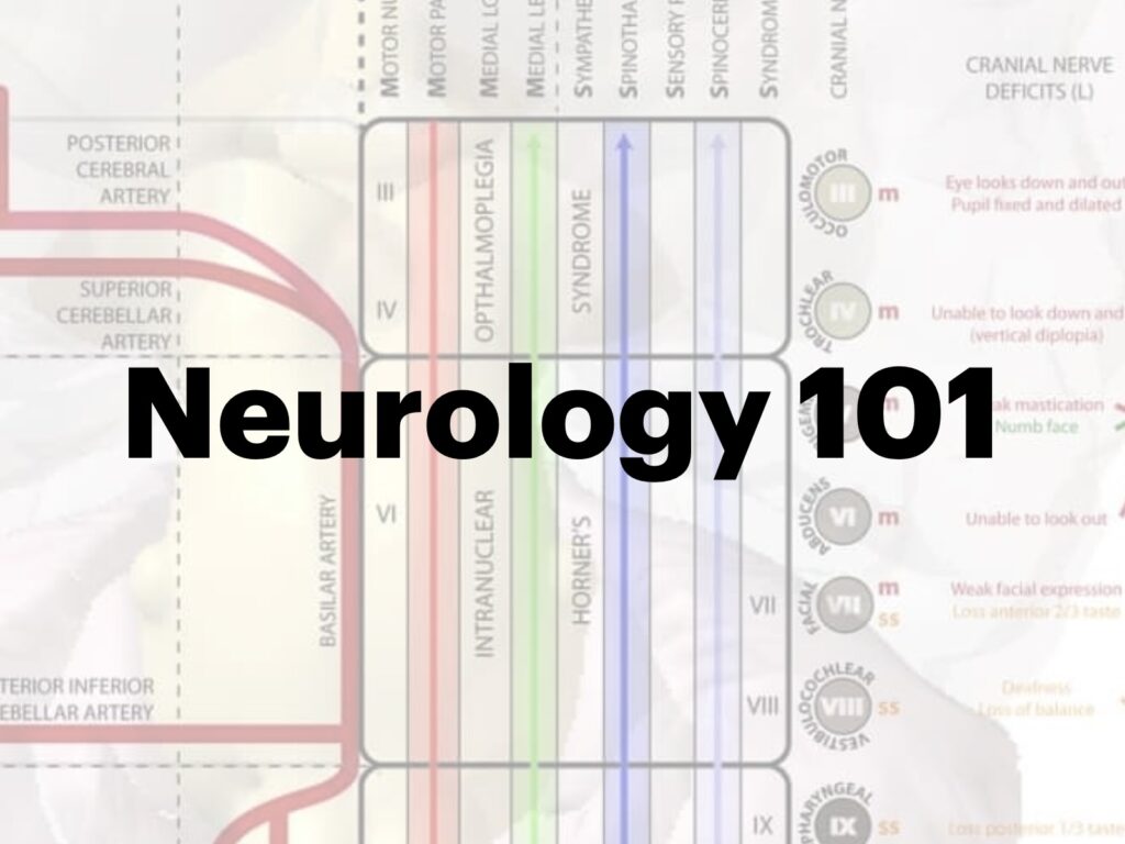 Neurology Archives • LITFL
