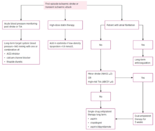 Stroke Infarction: Anterior Circulation • LITFL • FFS